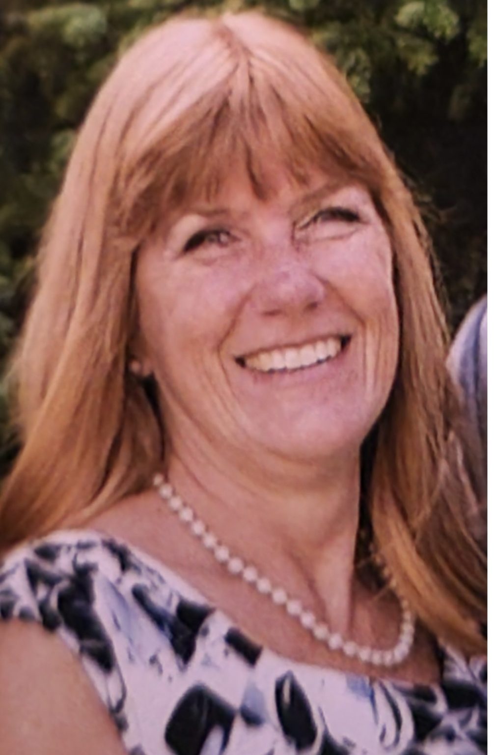 Karen L. Leary – Holliston Reporter